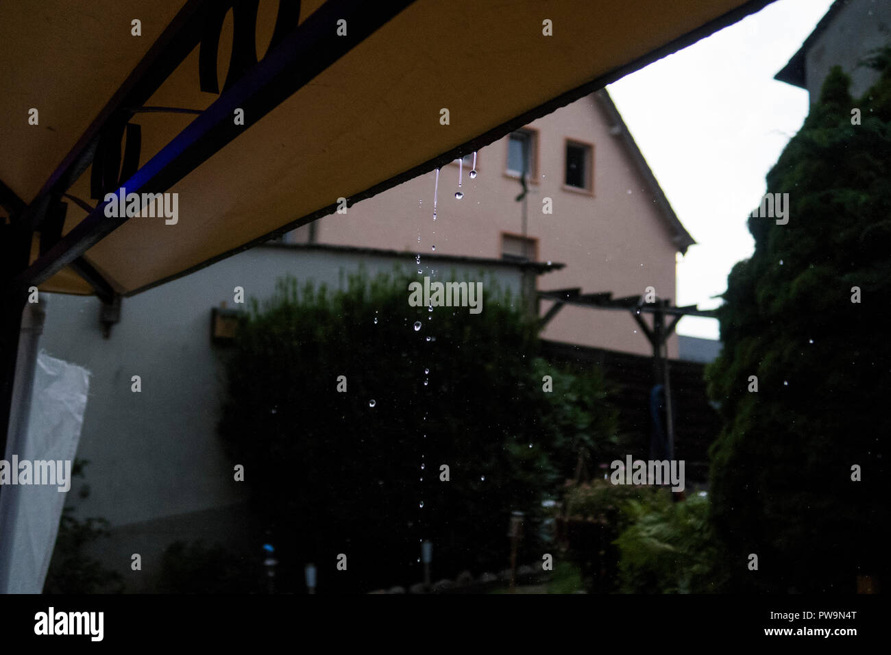 Raindrop drip dripping rain hi-res stock photography and images - Alamy