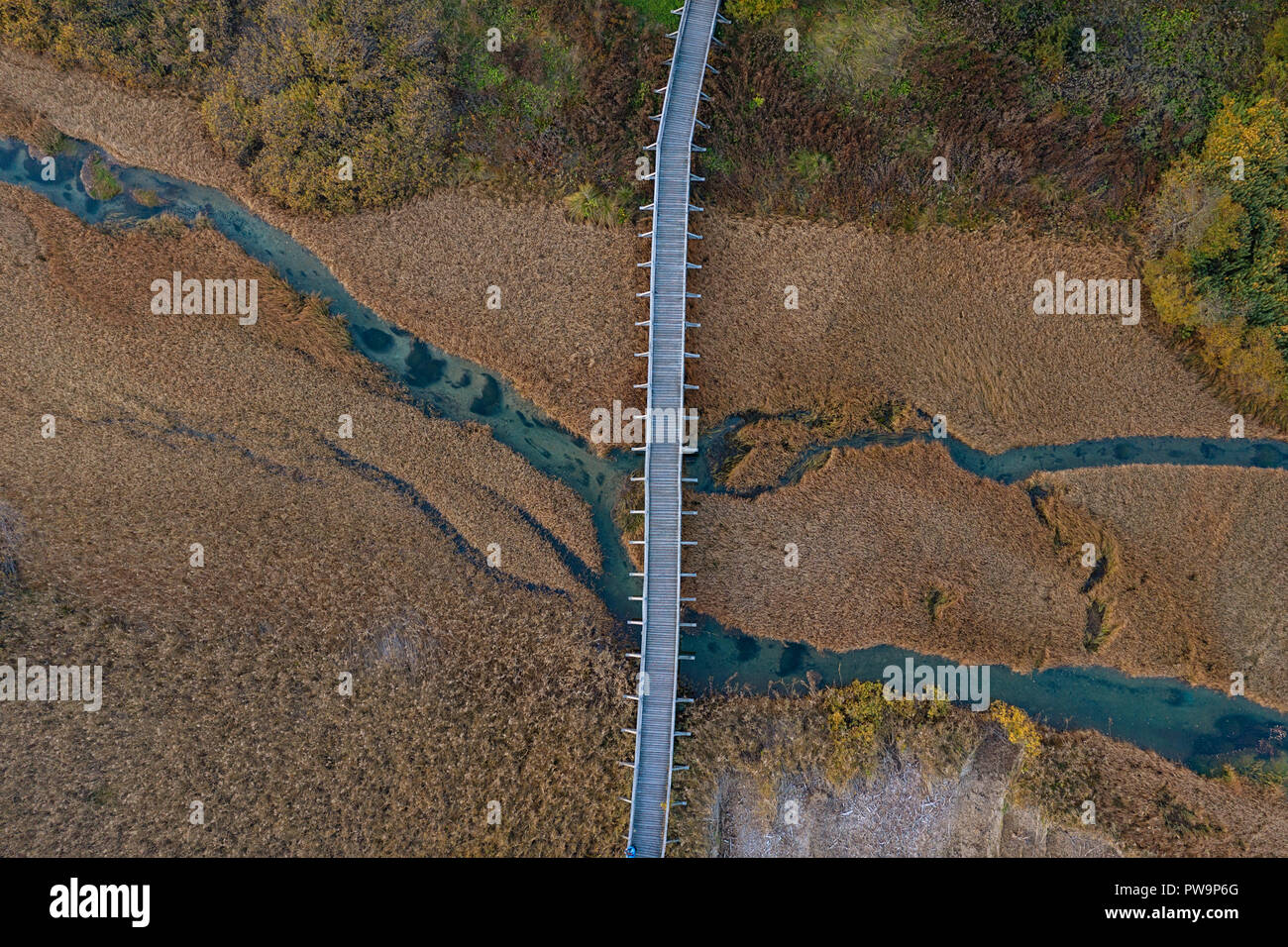 Wooden walkway above marsh hi-res stock photography and images - Alamy