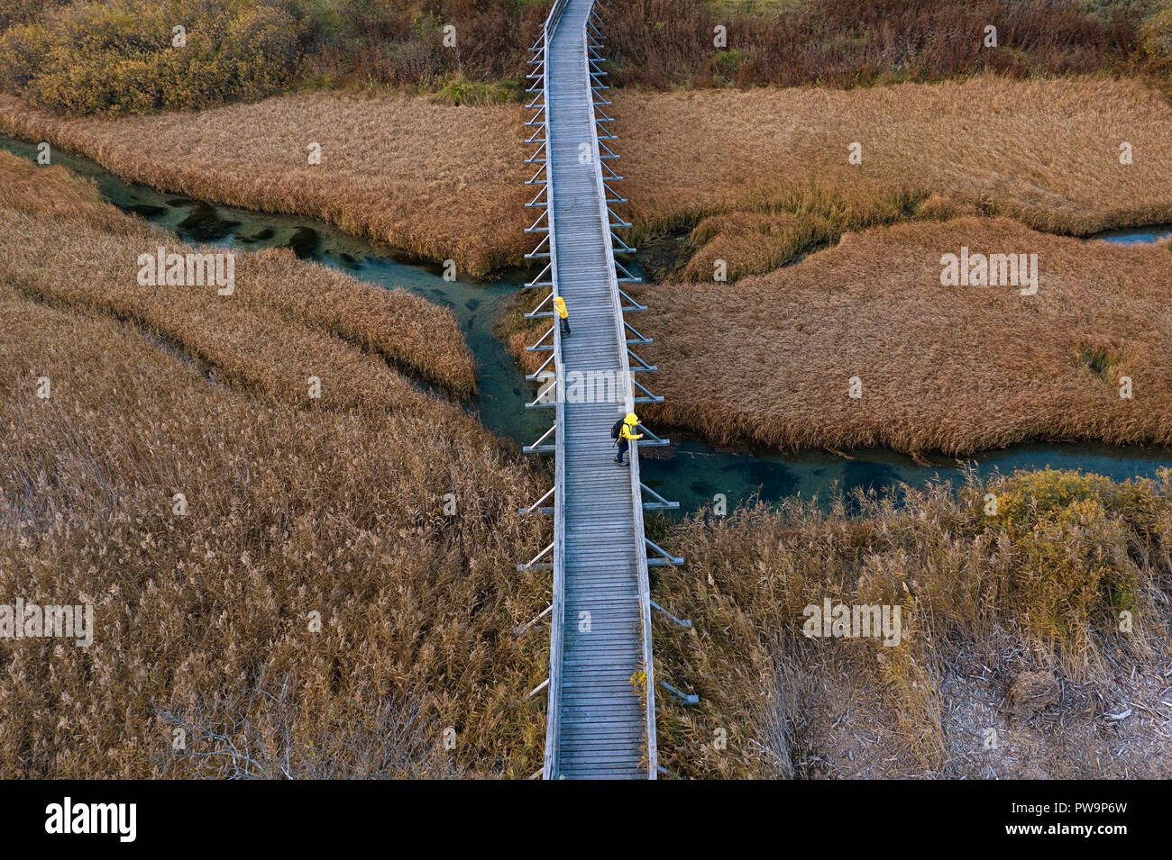 Wooden walk path above dry reed on the marsh, mother and son in yellow ...