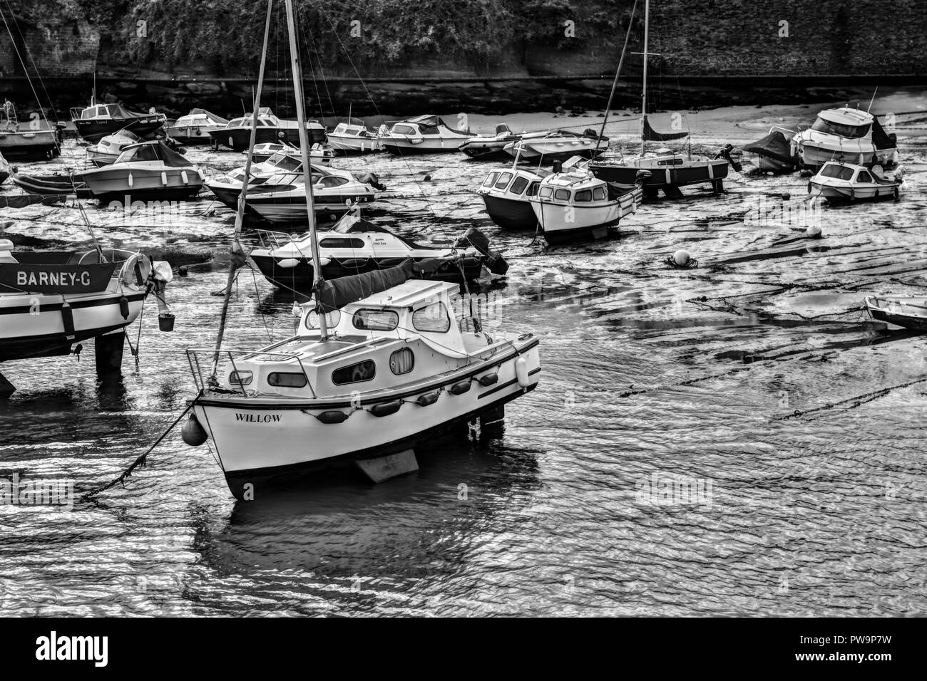 Torbay inlet hi-res stock photography and images - Alamy
