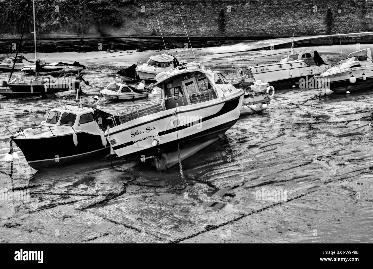 Torbay inlet hi-res stock photography and images - Alamy
