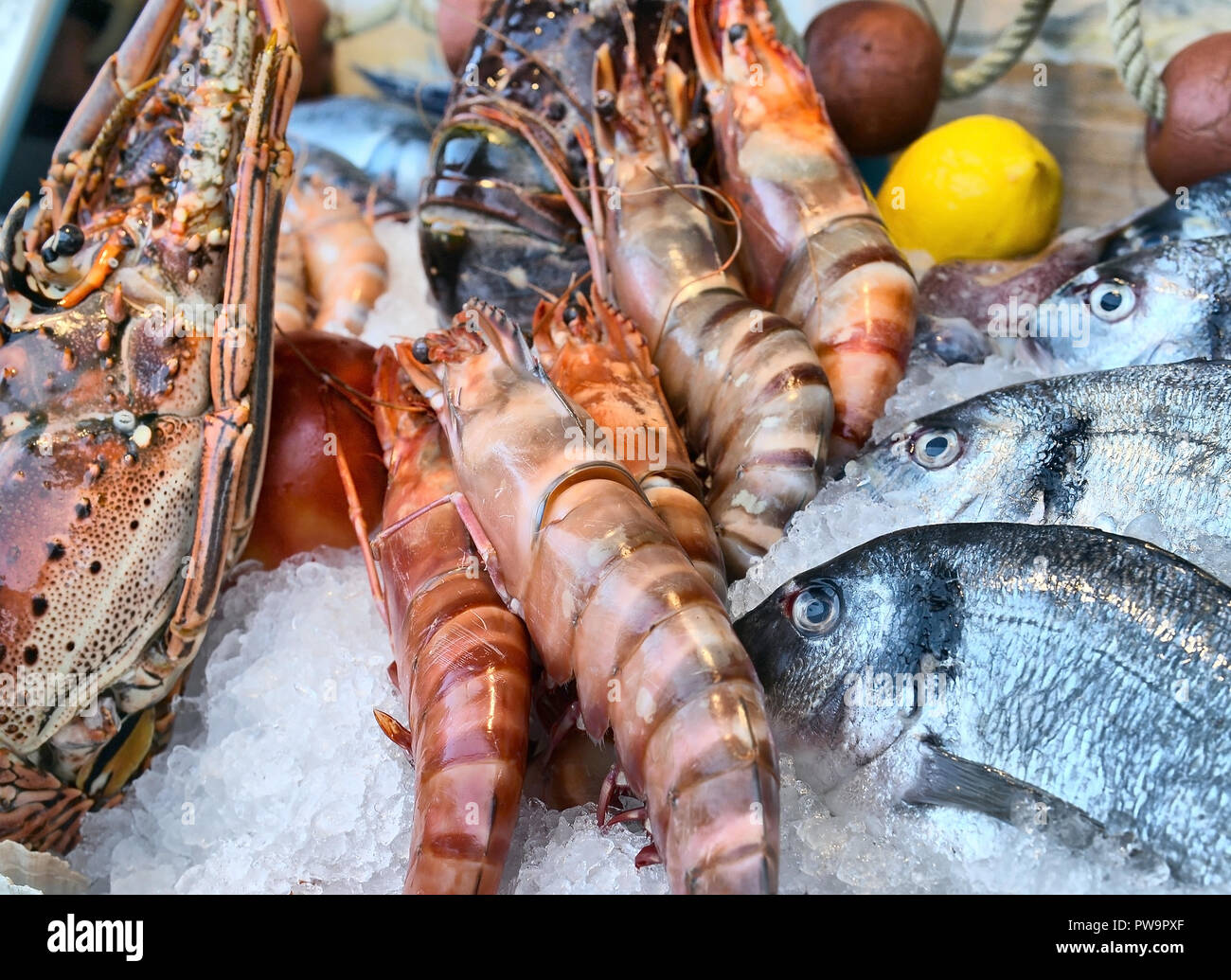 Mixed seafood display on a fishmongers crushed ice counter Stock Photo ...