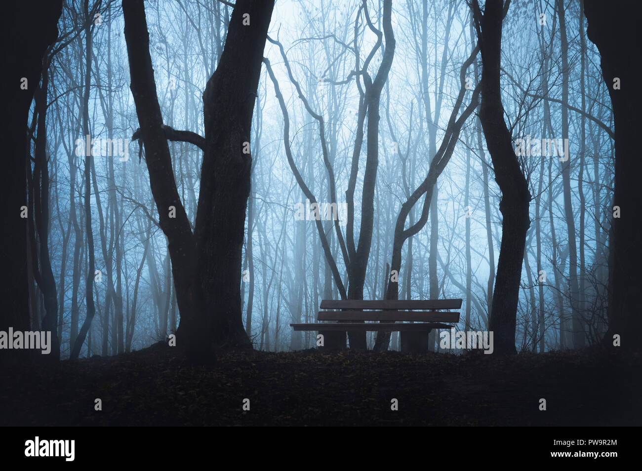 Cold fall landscape with a wooden bench in a forest, with silhouettes ...
