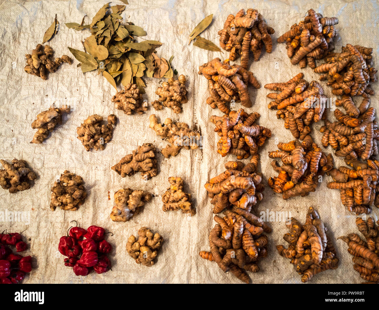 African chilli hi-res stock photography and images - Alamy