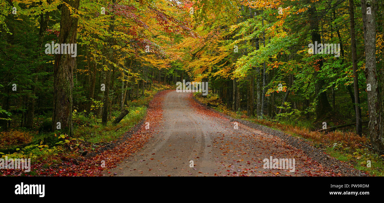 Autumn foliage with red, orange and yellow fall colors in A Northeast ...