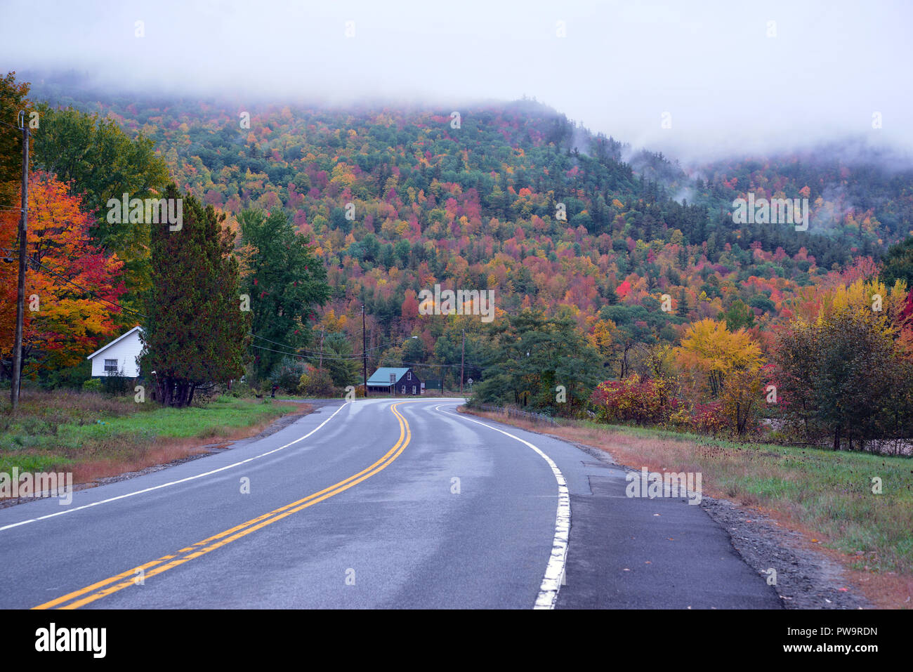 Autumn foliage with red, orange and yellow fall colors in A Northeast ...