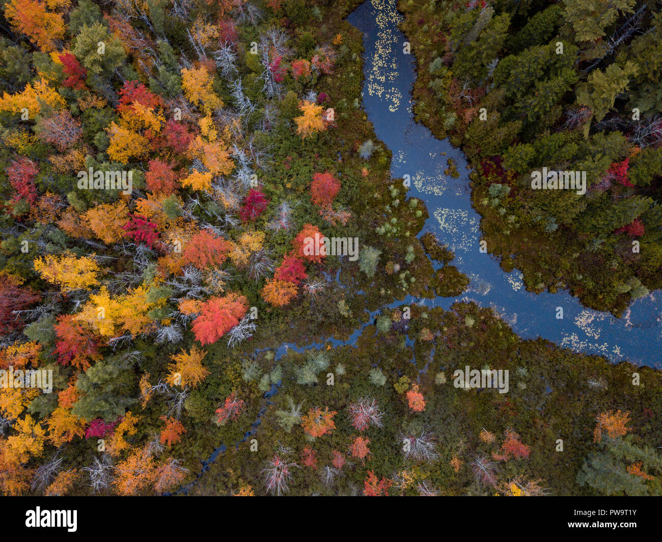 Fall Foliage From a Drone Stock Photo - Alamy