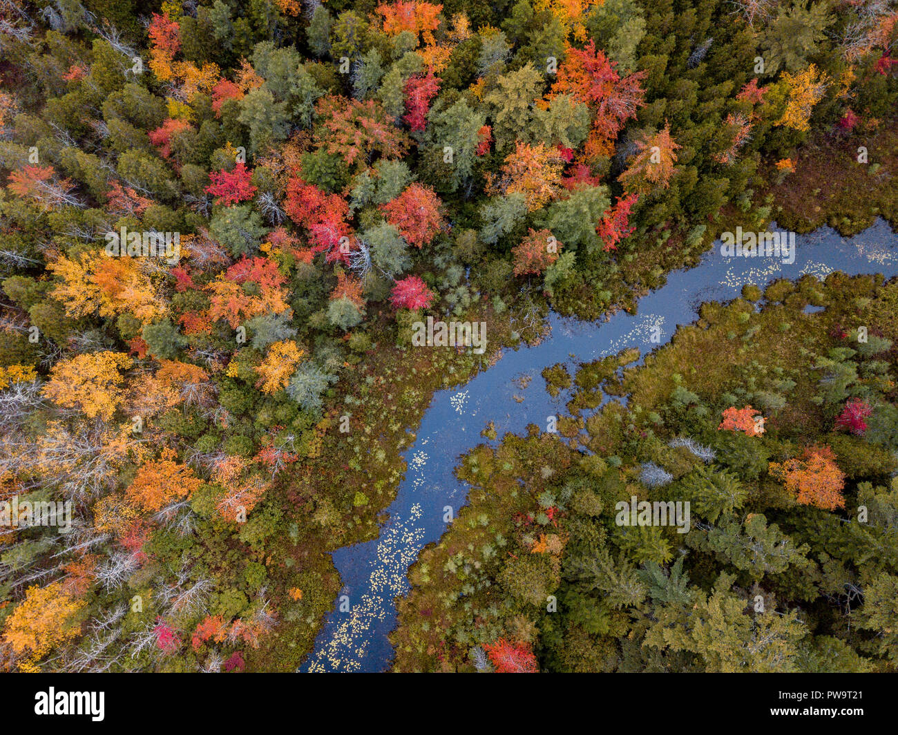 Fall Foliage From a Drone Stock Photo - Alamy