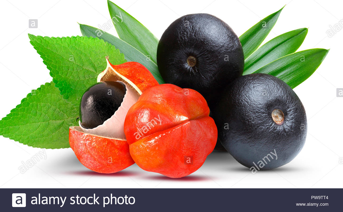 Guarana Fruit Stock Photos & Guarana Fruit Stock Images - Alamy