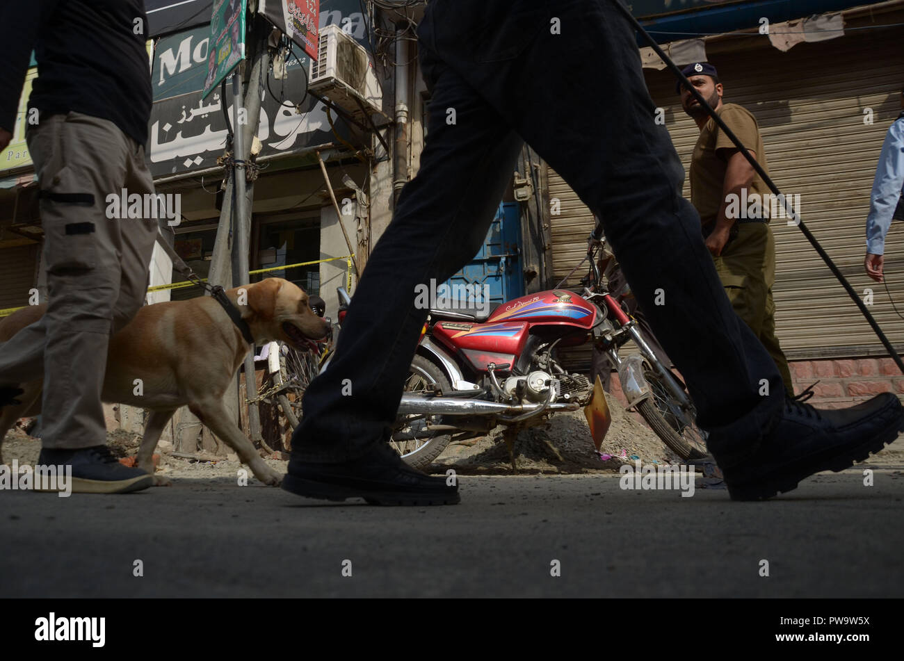 Police forensic teams house hi-res stock photography and images - Alamy
