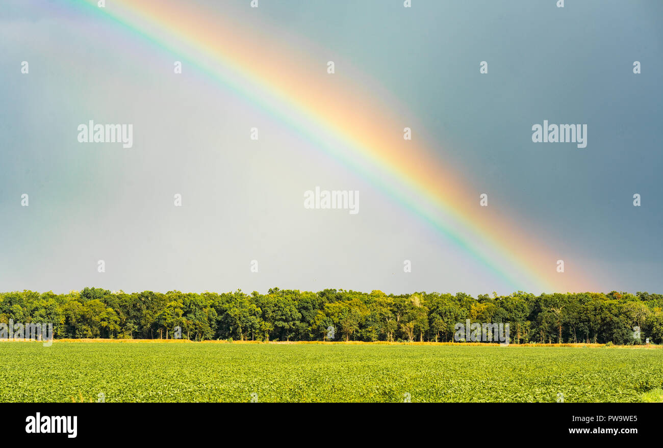 Full rainbow over forest hi-res stock photography and images - Alamy