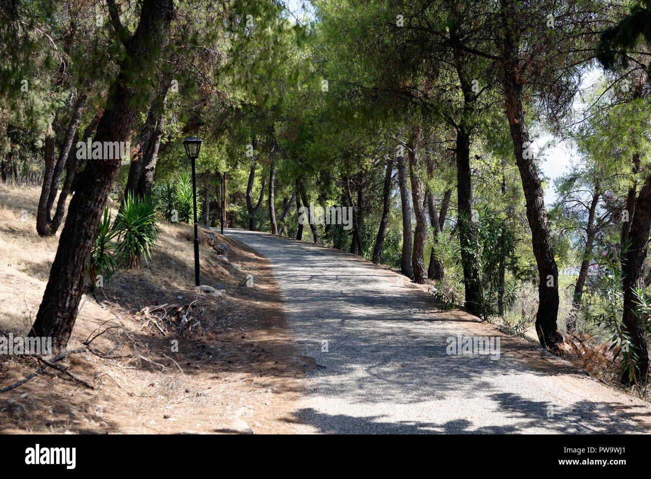 Scenic shady road on the hill of Prophitis llias (Aspis), Argos ...