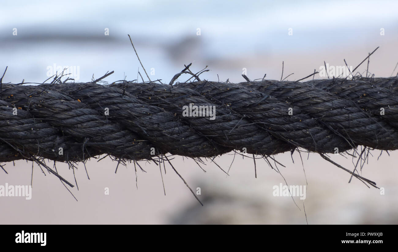 Rope stick tree hi-res stock photography and images - Alamy