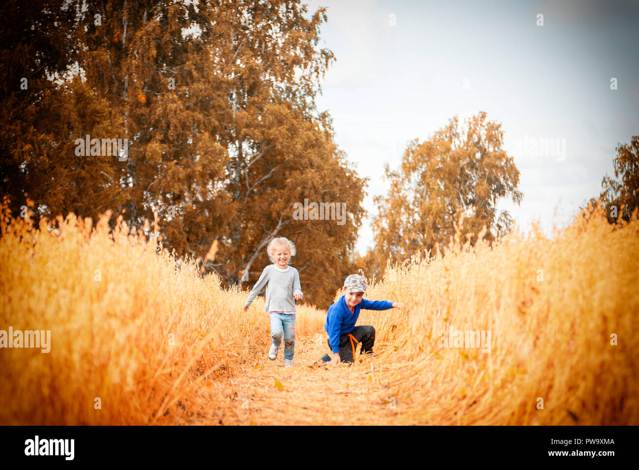 Little boy and girl on a wheat field in the sunlight running, playing ...