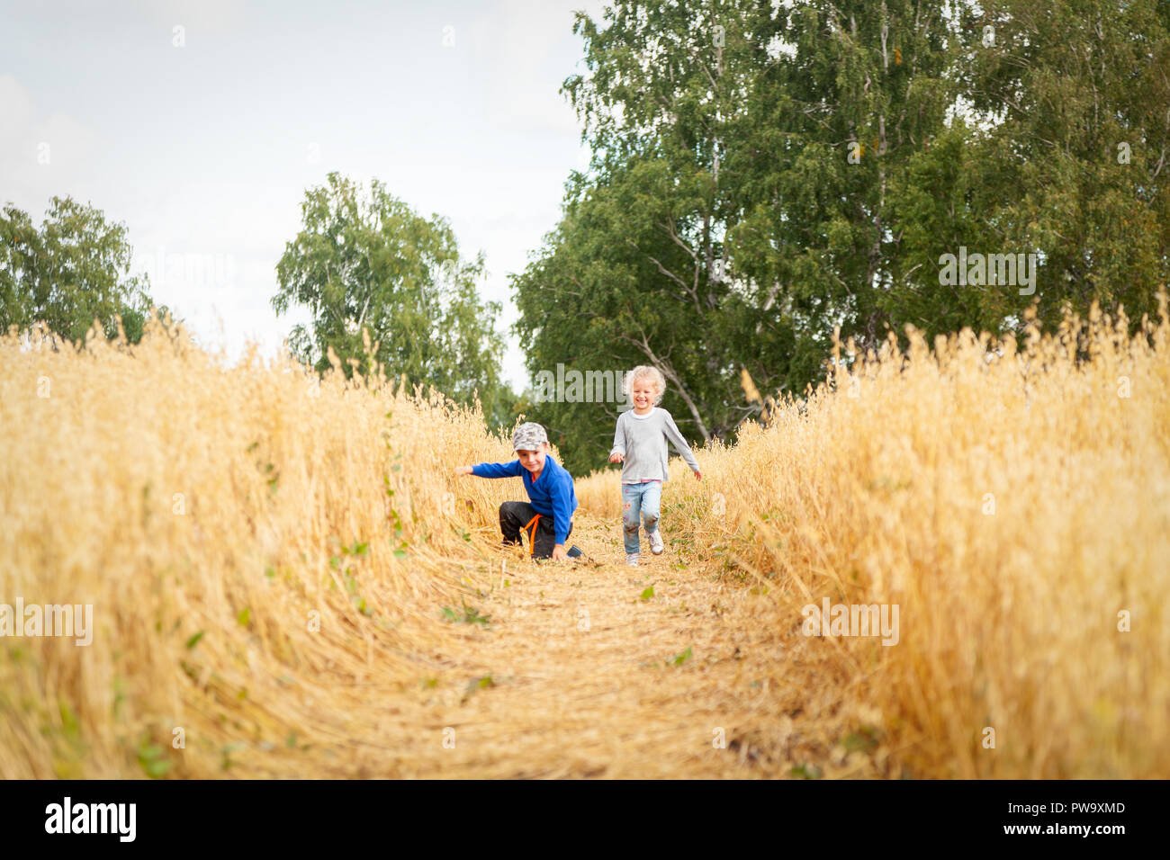 Little boy and girl on a wheat field in the sunlight running, playing ...