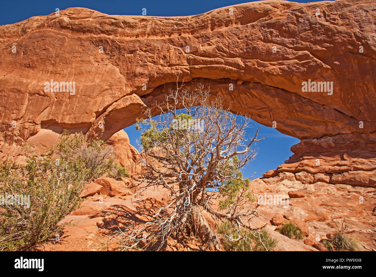 South Window in the Windows Section of Arches National Park. Utah. USA ...