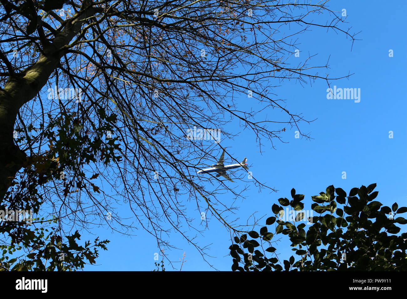 Airplane in blue sky landing, look through tree branches Stock Photo ...