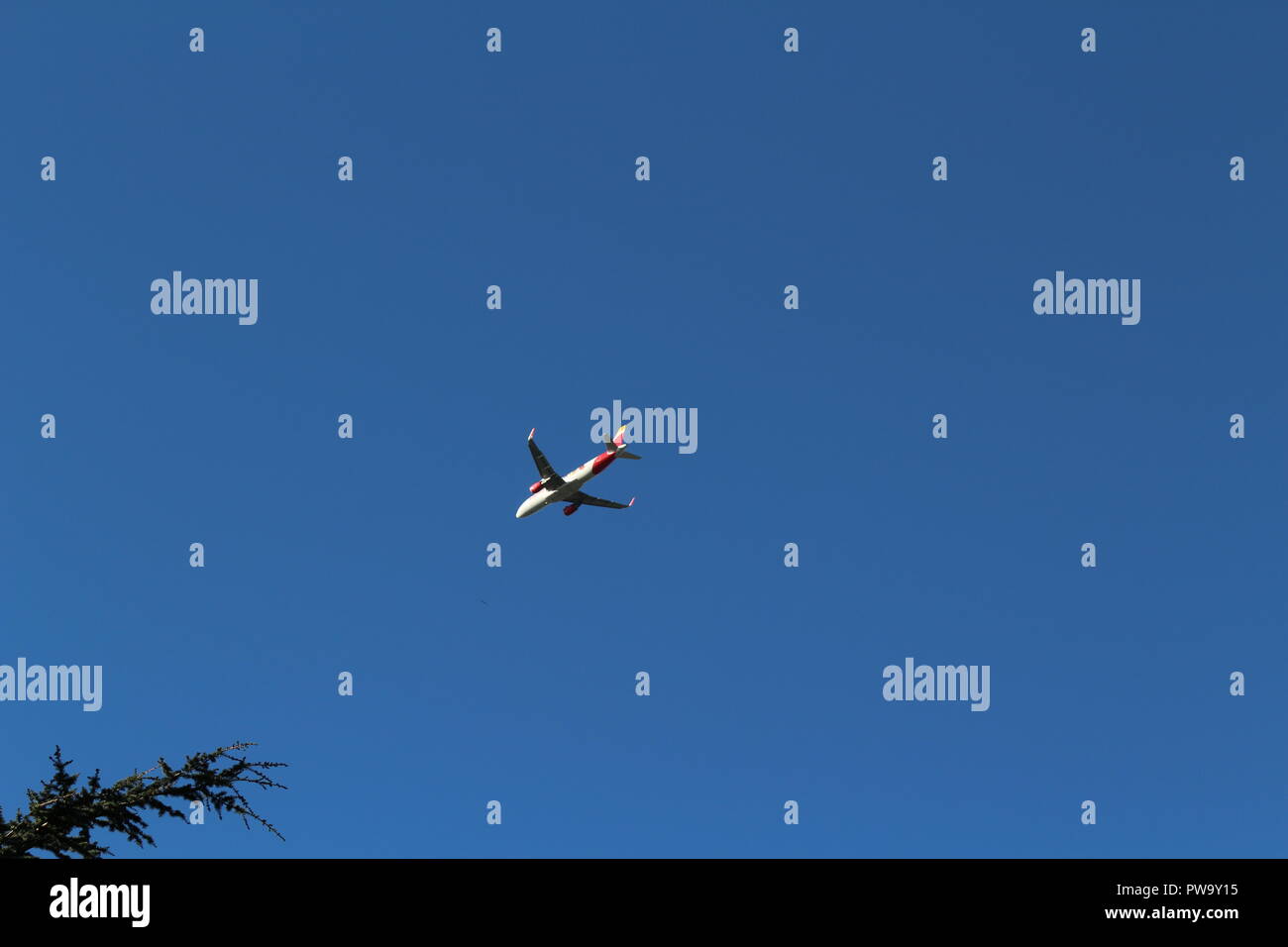 Airplane wing fall hi-res stock photography and images - Alamy