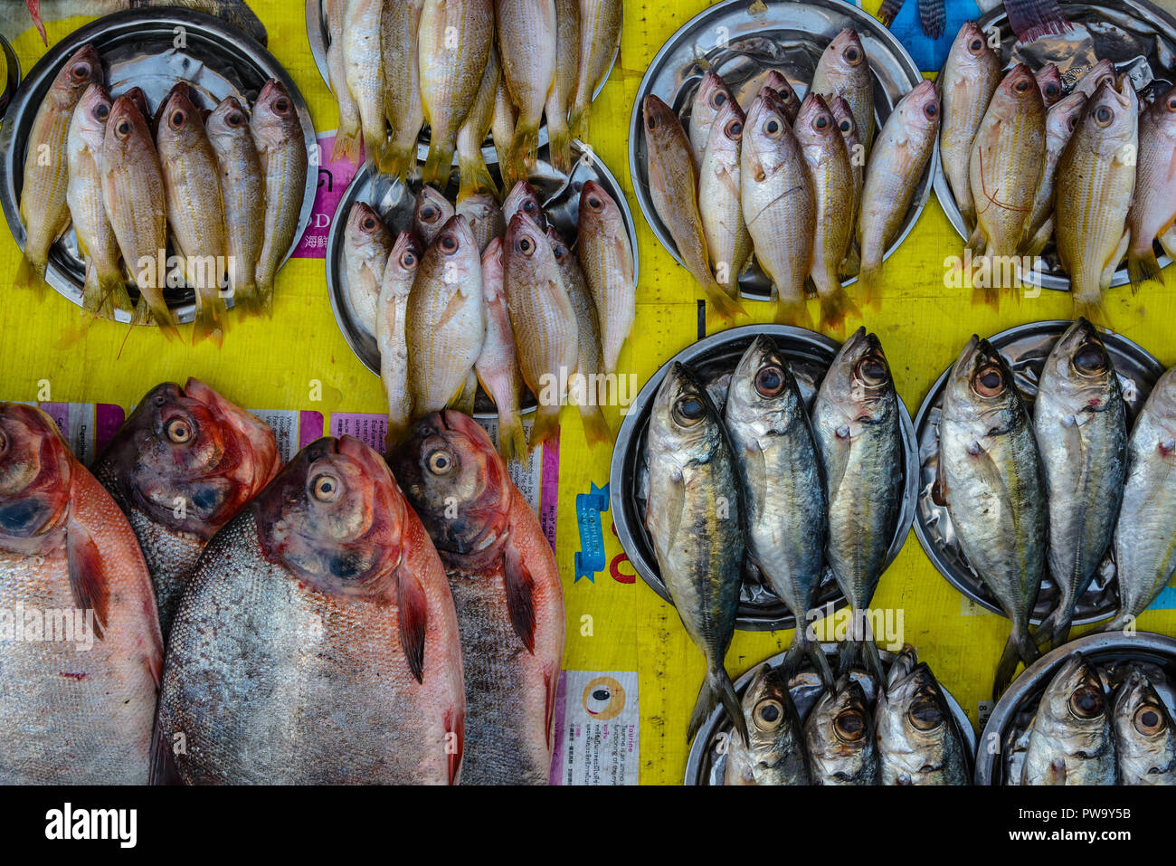 Fish market in Yangon, Myanmar Stock Photo - Alamy