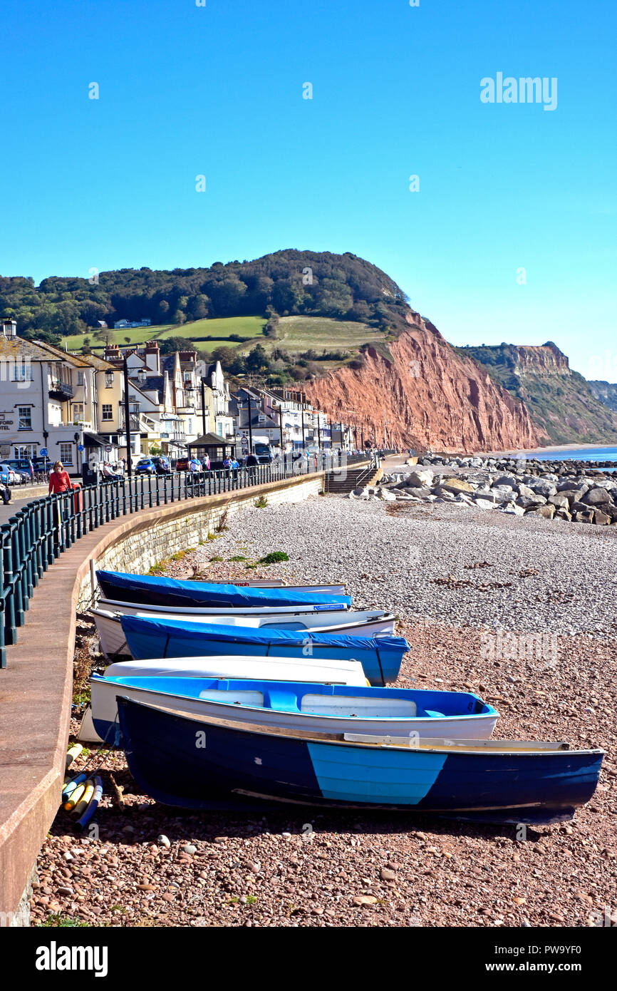 Fields sidmouth hi-res stock photography and images - Alamy