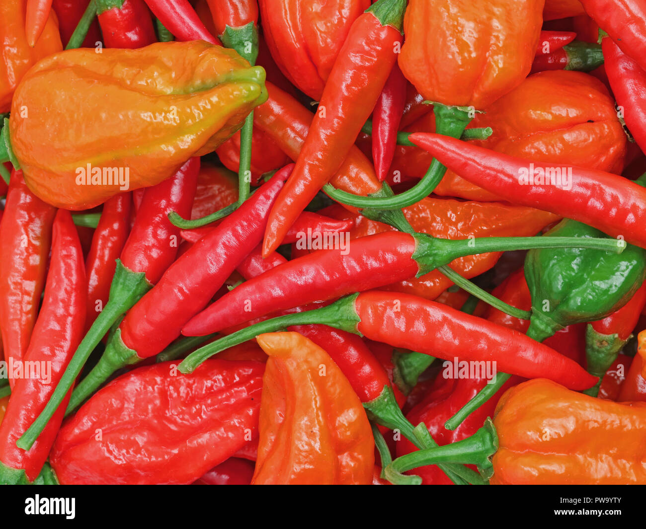 close up of fresh red hot chili peppers Stock Photo - Alamy