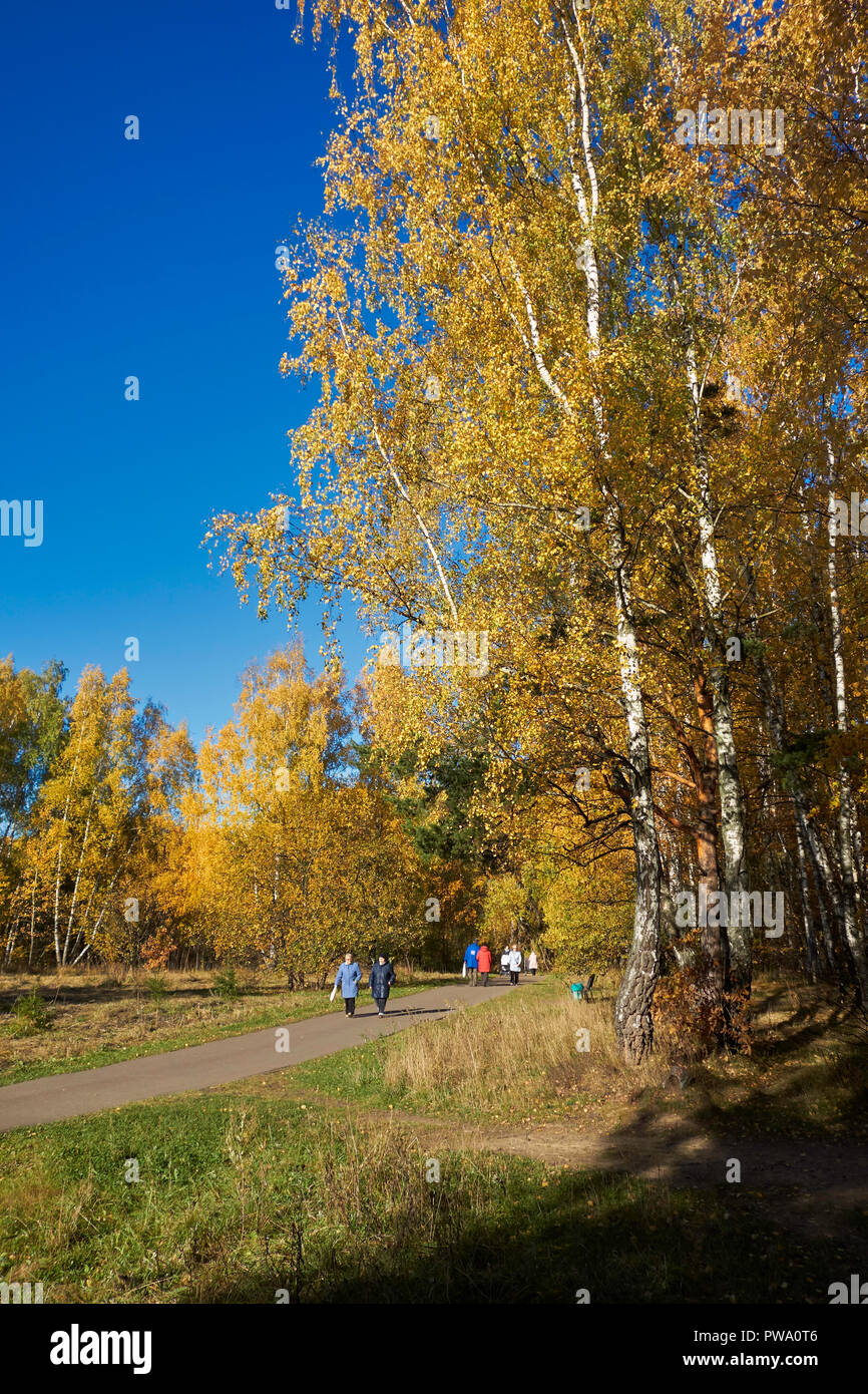 People walking among trees with golden yellow foliage in autumn ...