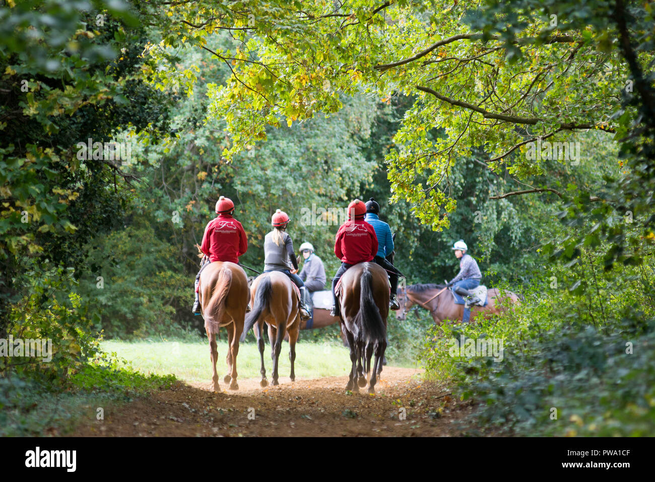 Newmarket, Suffolk, UK, 2018-10-13. Horses being exercised on Newmarket ...