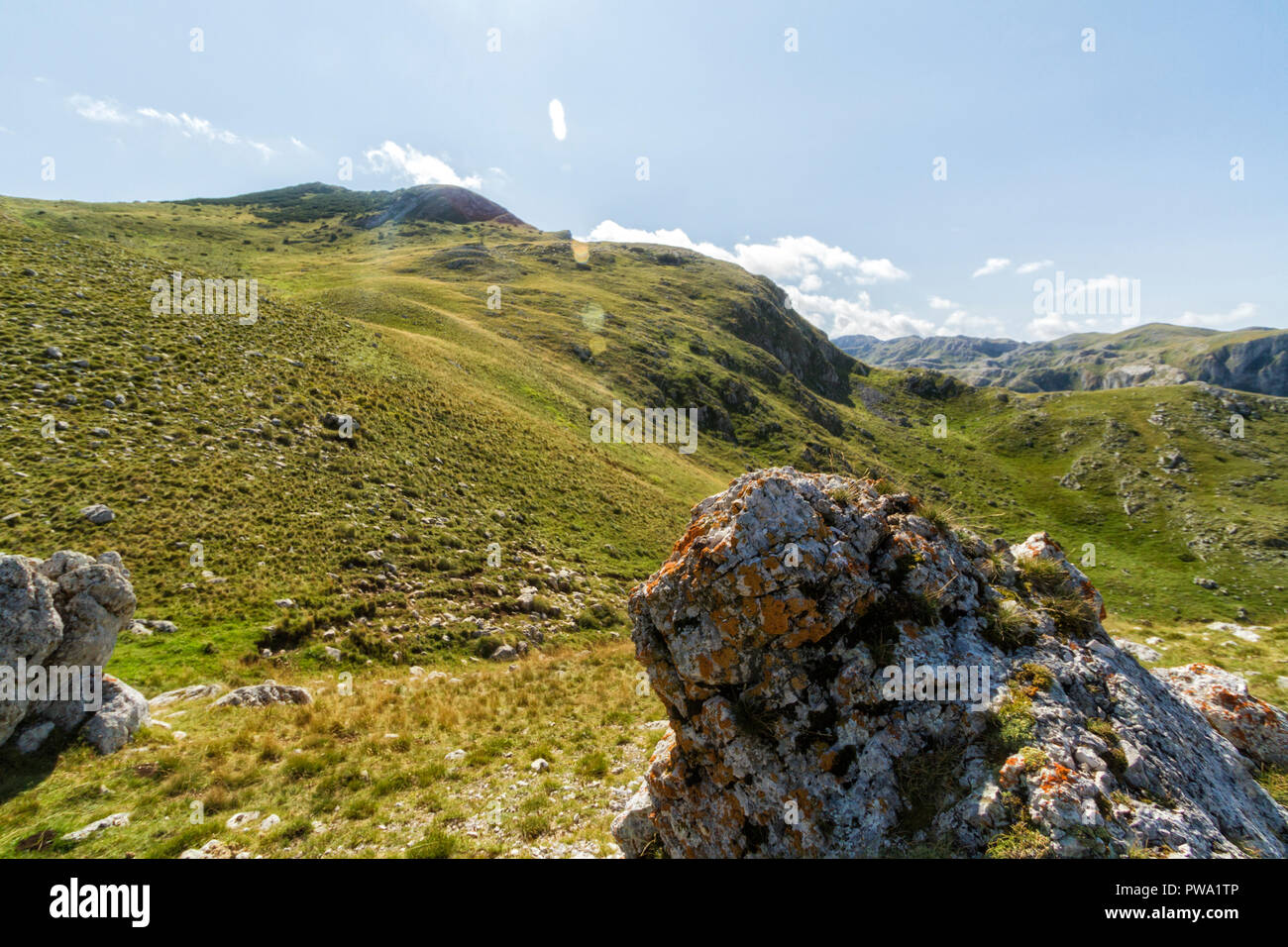Beautiful landscape in Montenegro with fresh grass and beautiful peaks ...