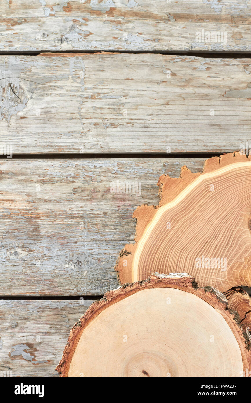 Wooden discs and copy space. Natural wooden slices. Wood slice art ...