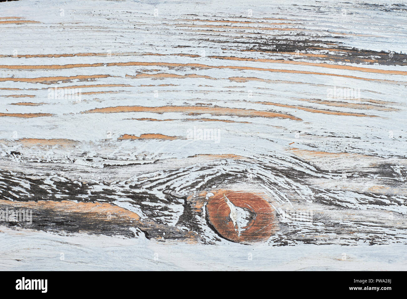 Grey wood with natural patterns. Light rustic wood texture. Vintage ...