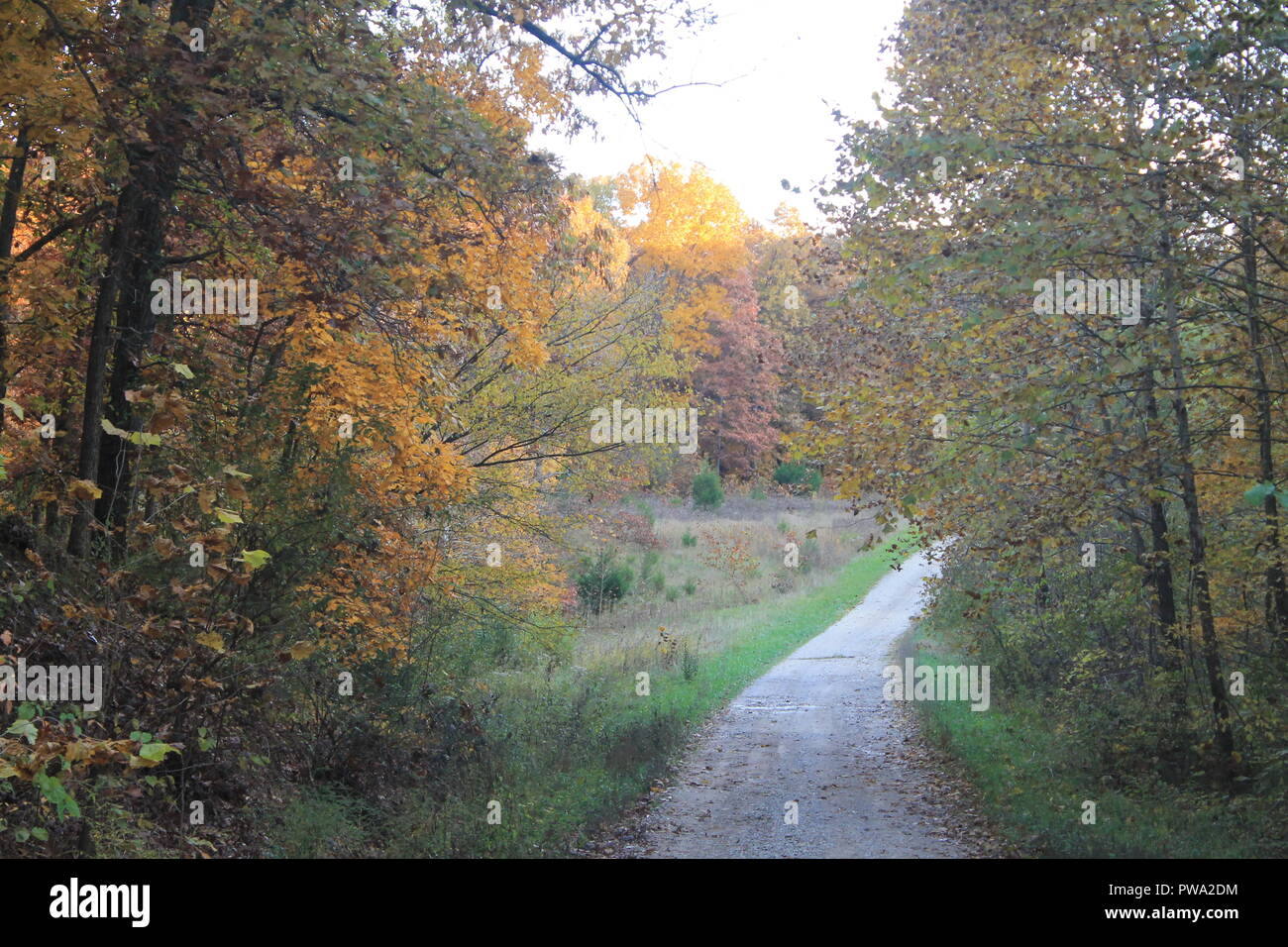 Back roads hi-res stock photography and images - Alamy