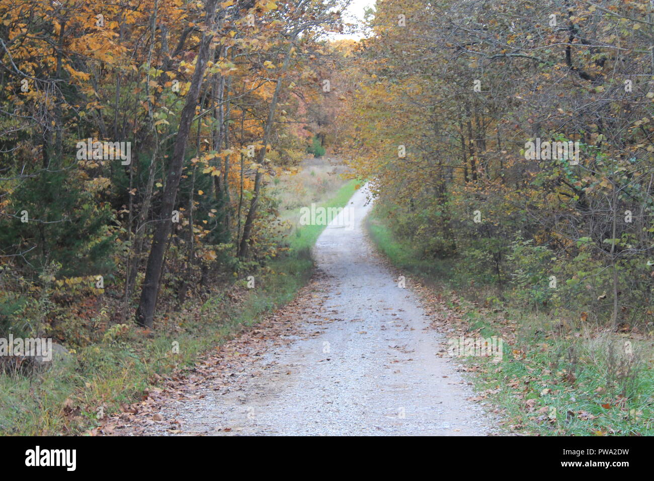 Back roads hi-res stock photography and images - Alamy
