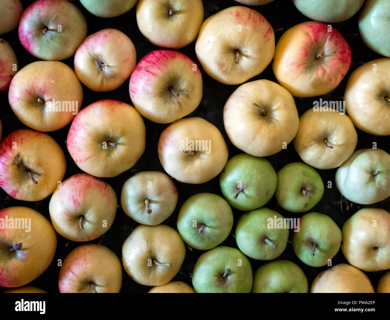 English eating apples hi-res stock photography and images - Alamy