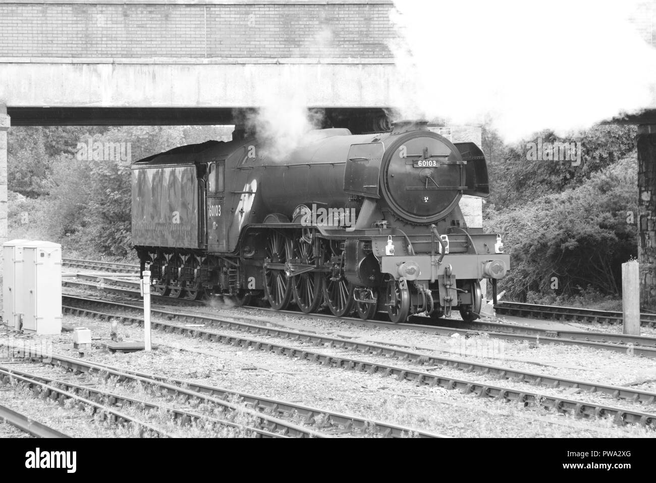 The flying scotsman locomotive Black and White Stock Photos & Images ...