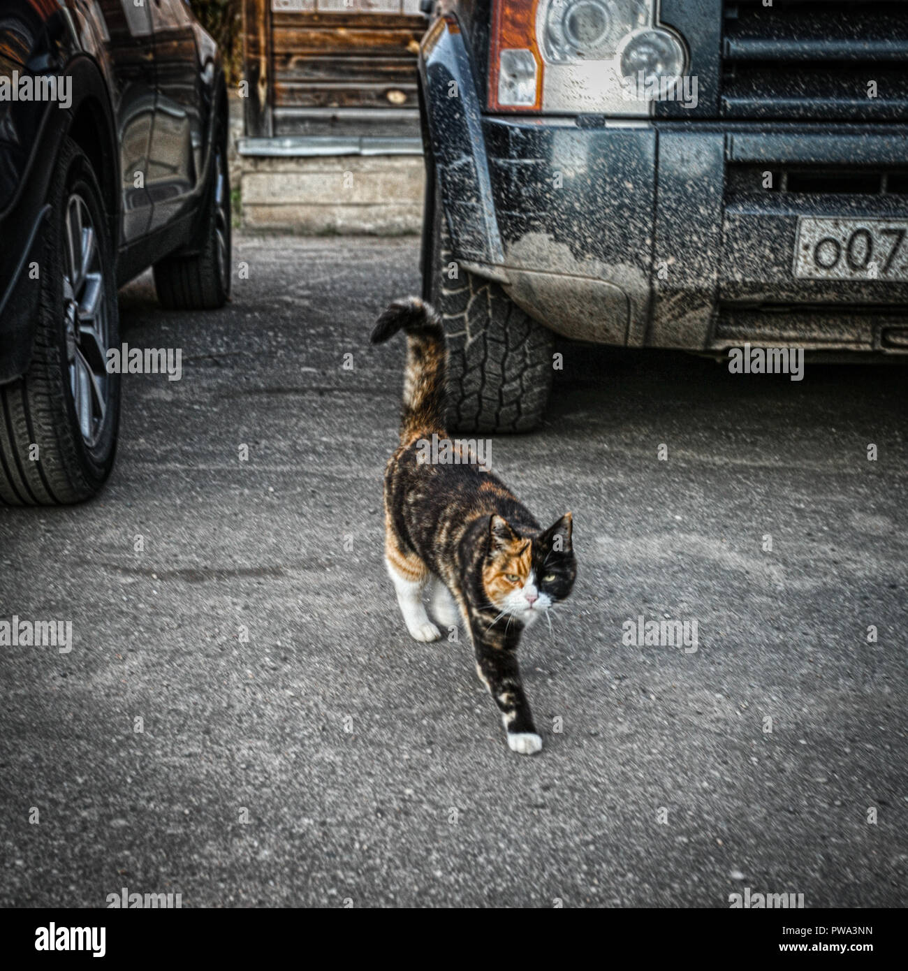 Robber High Resolution Stock Photography and Images - Alamy