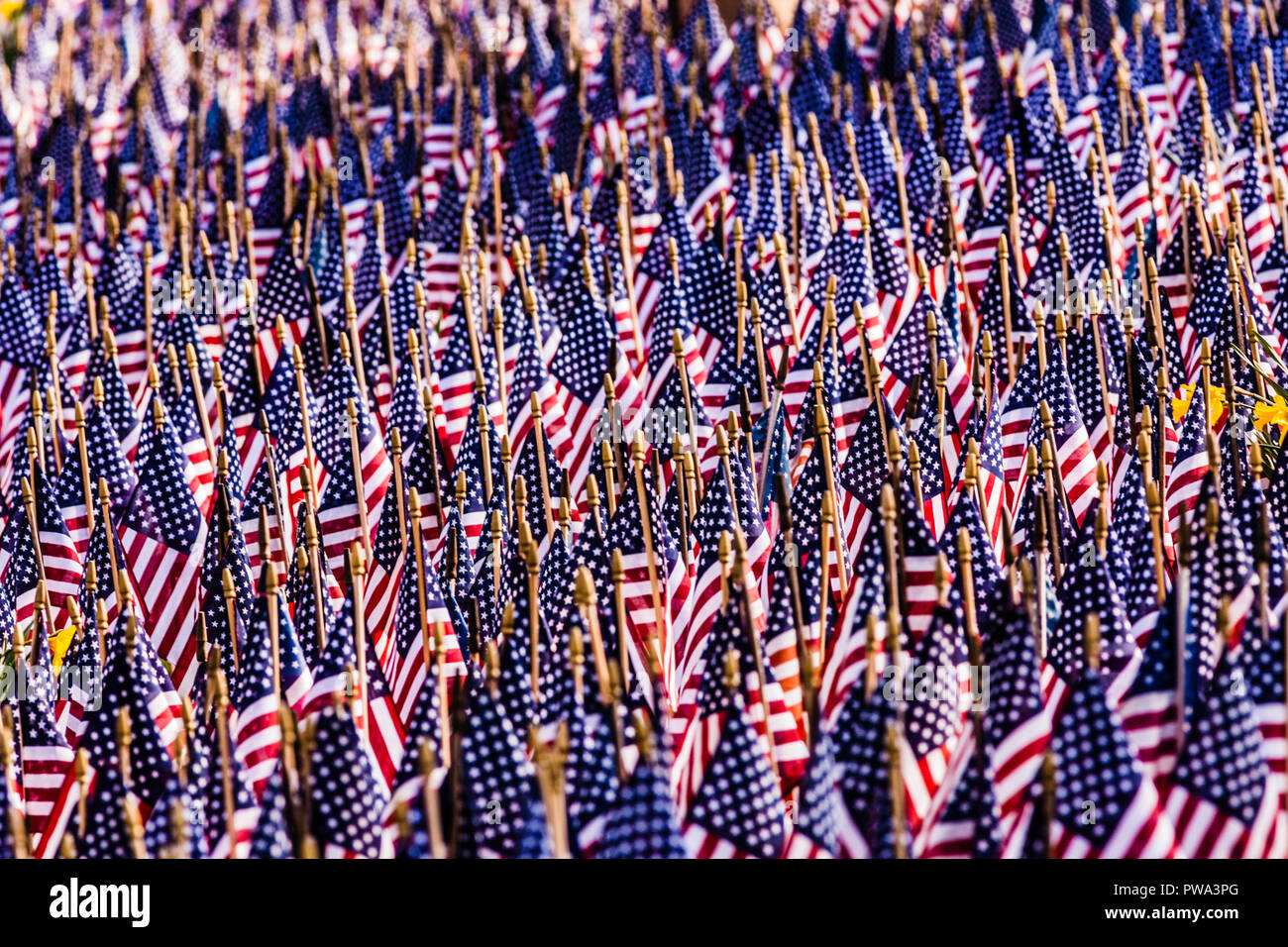 Field of Flags First Congregational Church Essex, Connecticut, USA ...