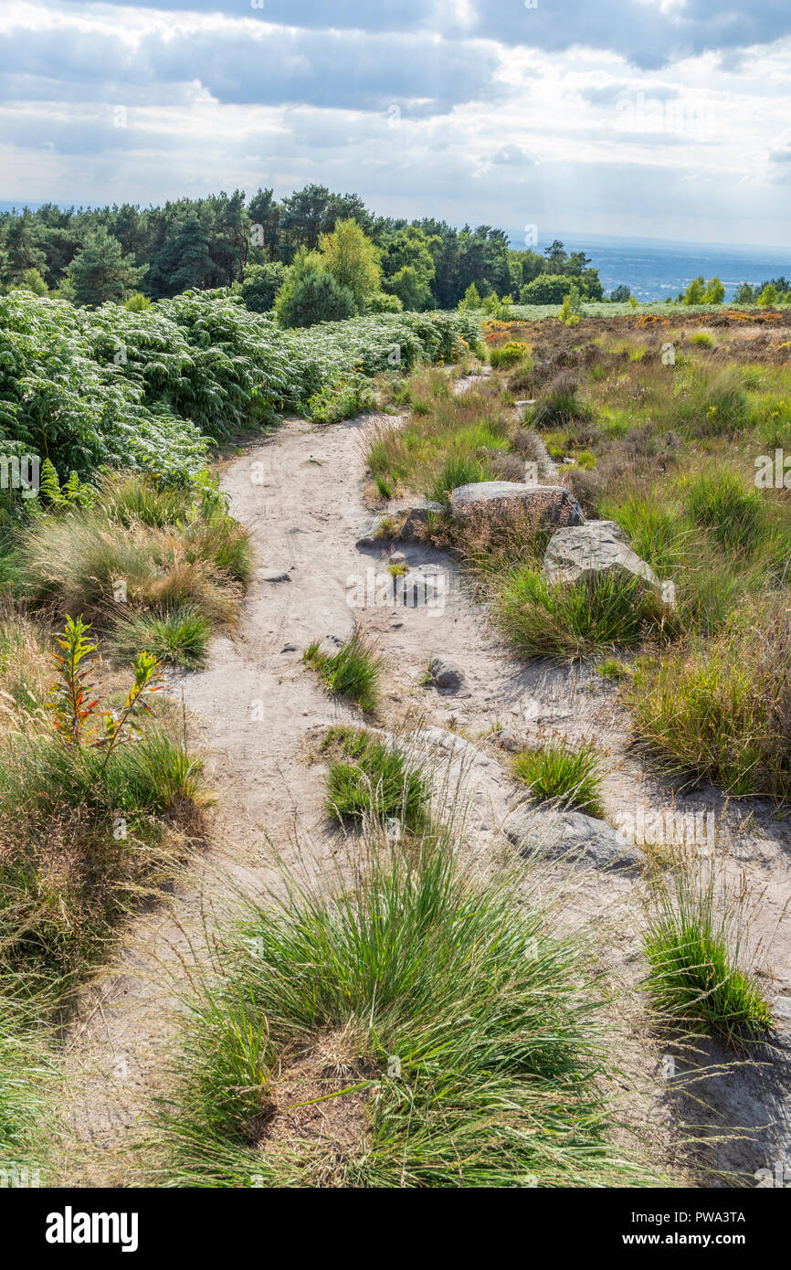 English country path Stock Photo - Alamy