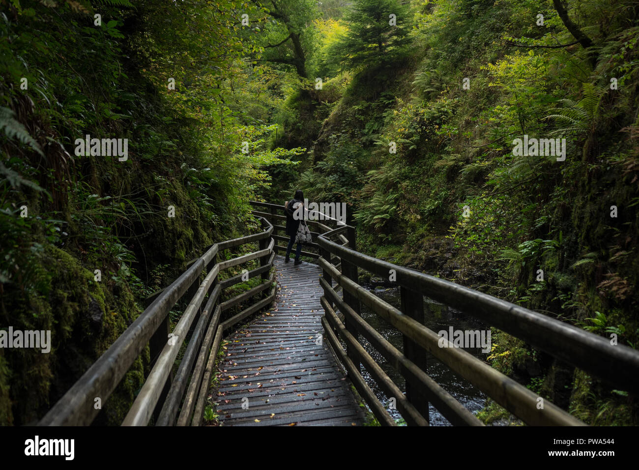 Waterfall Trail at Glenariff Forest Park near Causeway Coastal Route ...