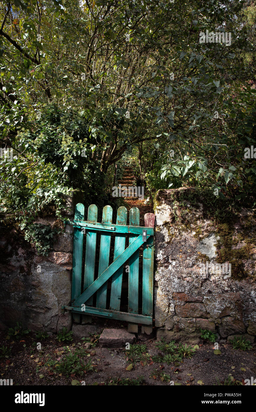 Old little green gate Stock Photo - Alamy
