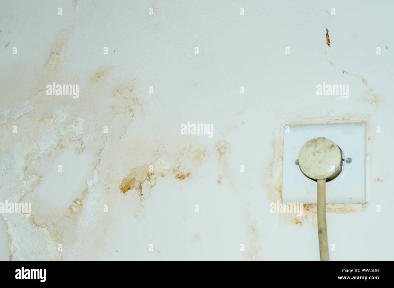 mildew mold damage house ceiling Stock Photo - Alamy