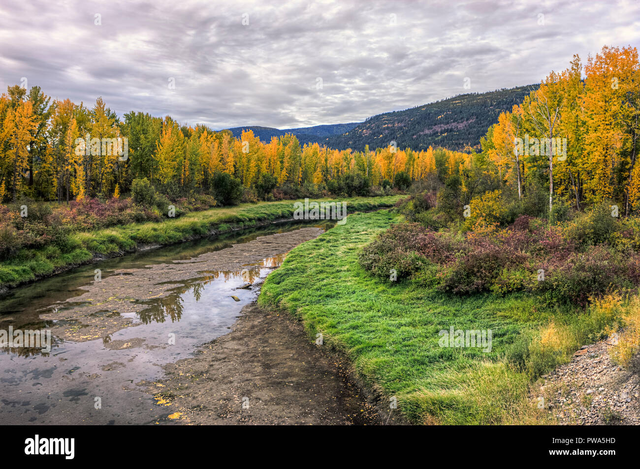 Pretty fall colors along a dry tributary to the Kootenai River near ...