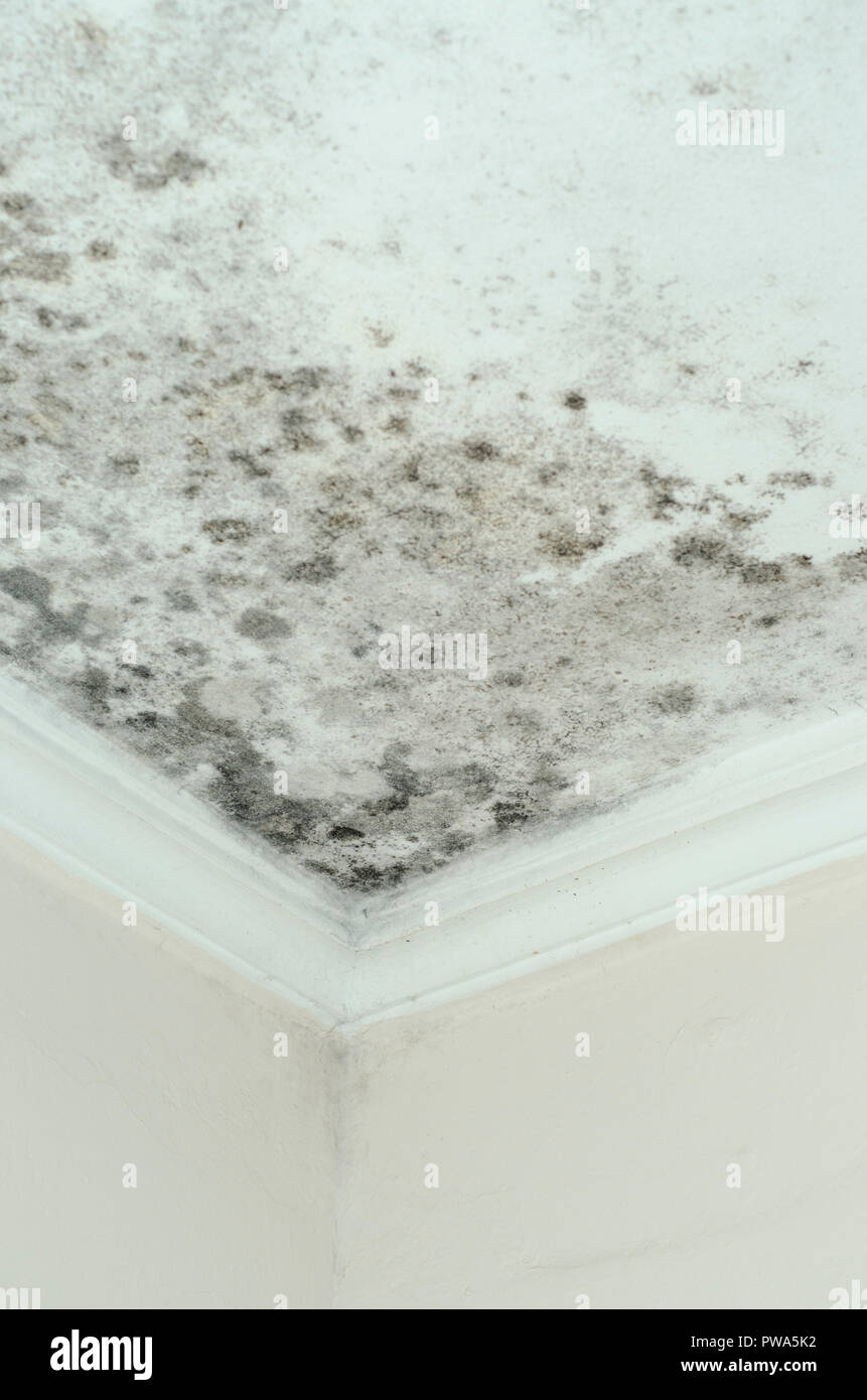 Ceiling collapse hi-res stock photography and images - Alamy