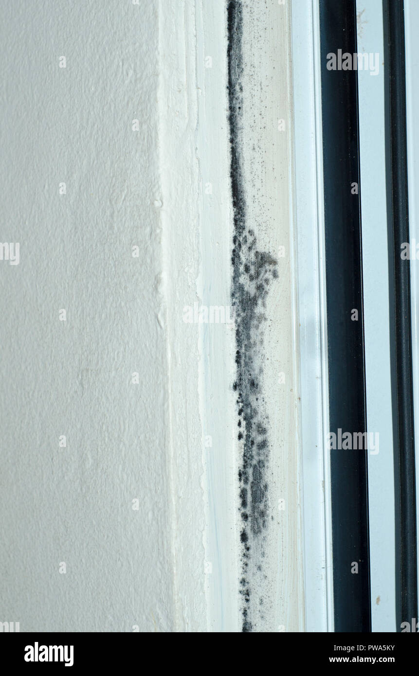 Mouldy house hi-res stock photography and images - Alamy