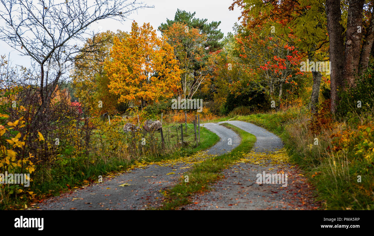 A gravelled road in autumn, a dirt road in fall Stock Photo - Alamy