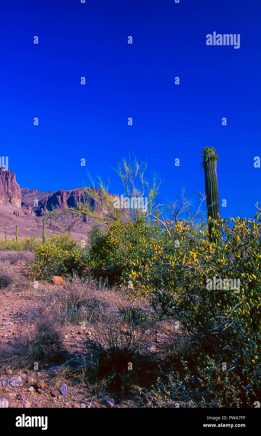 Views of the Apache Trail and Superstition Mountains in Apache Junction ...