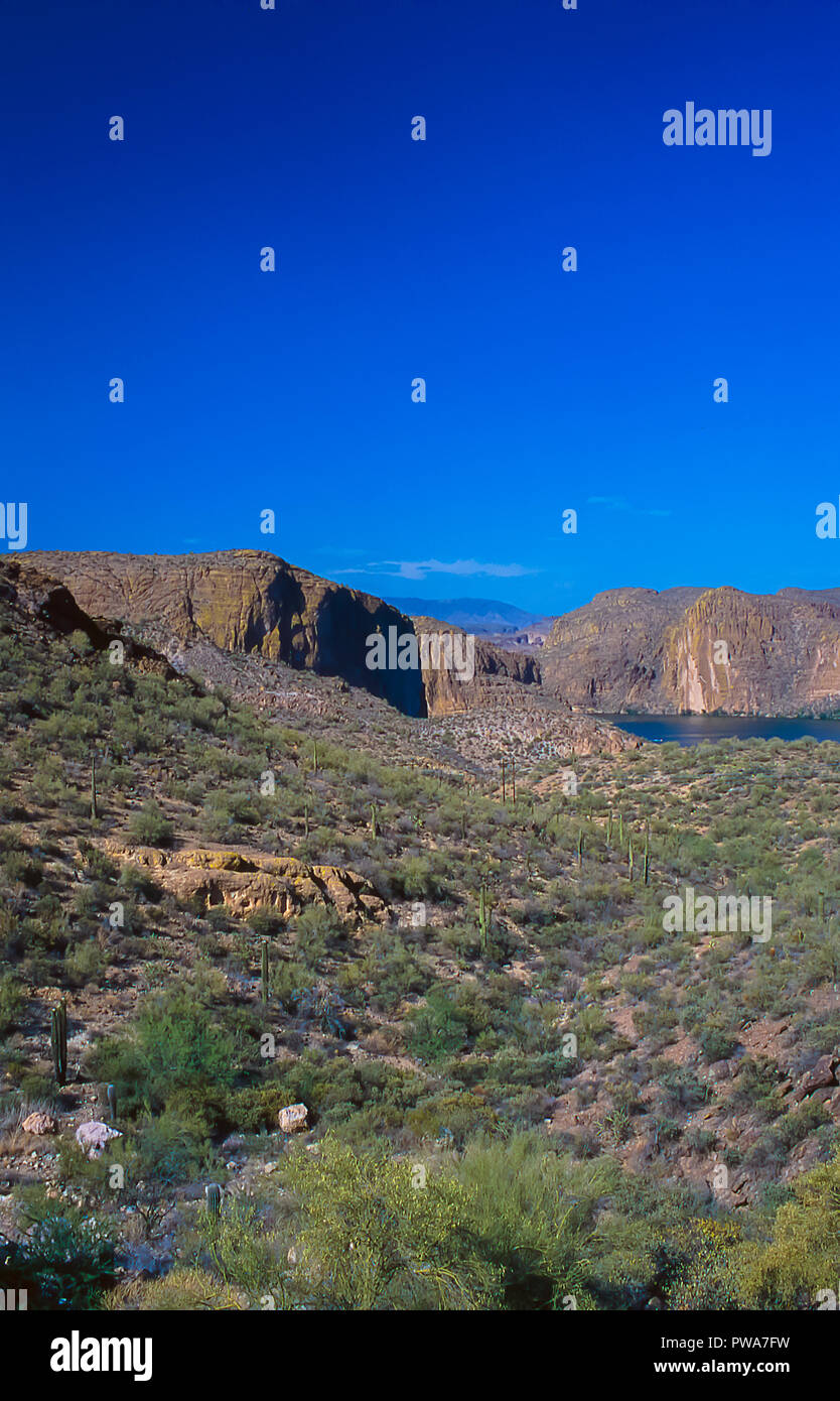 Desert scenes from the McDowell Mountain Regional Park near Phoenix ...