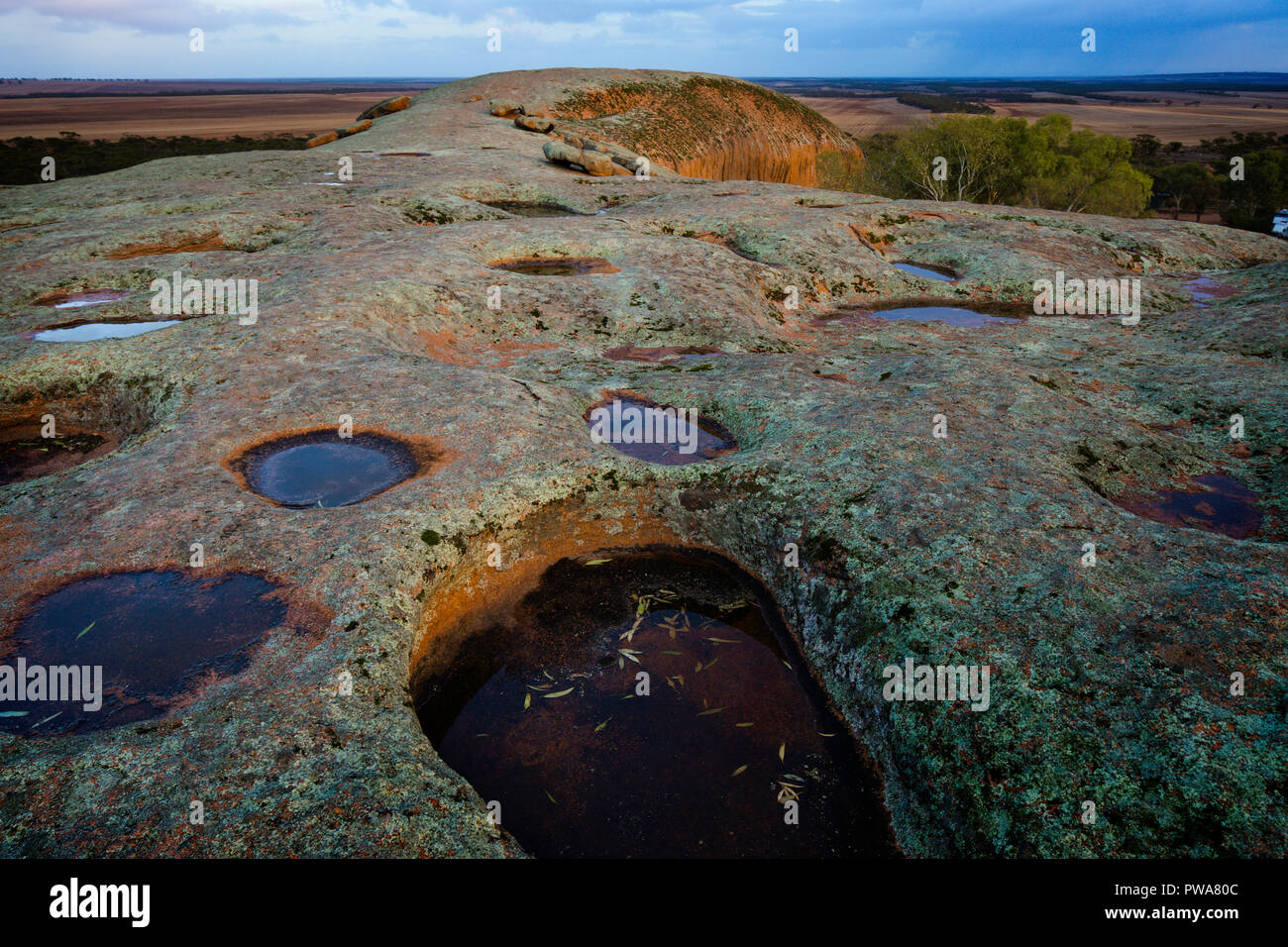 Shallow rock pools aka as gnamma holes by the aboriginals filled with ...