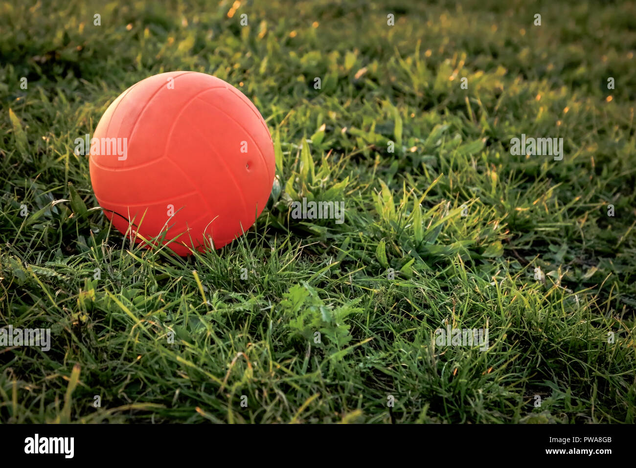 Green volleyball hi-res stock photography and images - Alamy