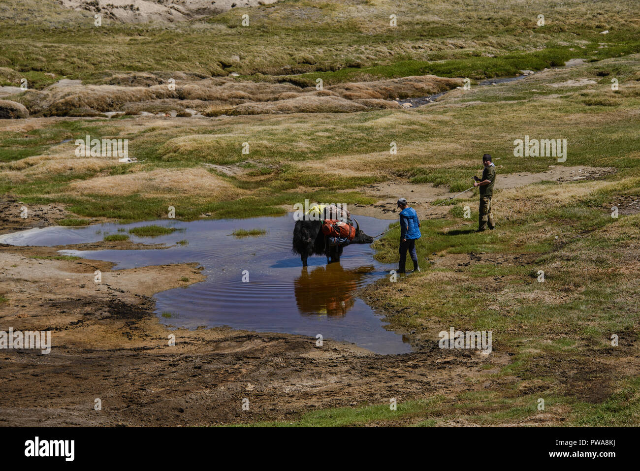 Trekking in the Lake Zorkul, Belayrik Pass, Tajikistan Stock Photo - Alamy
