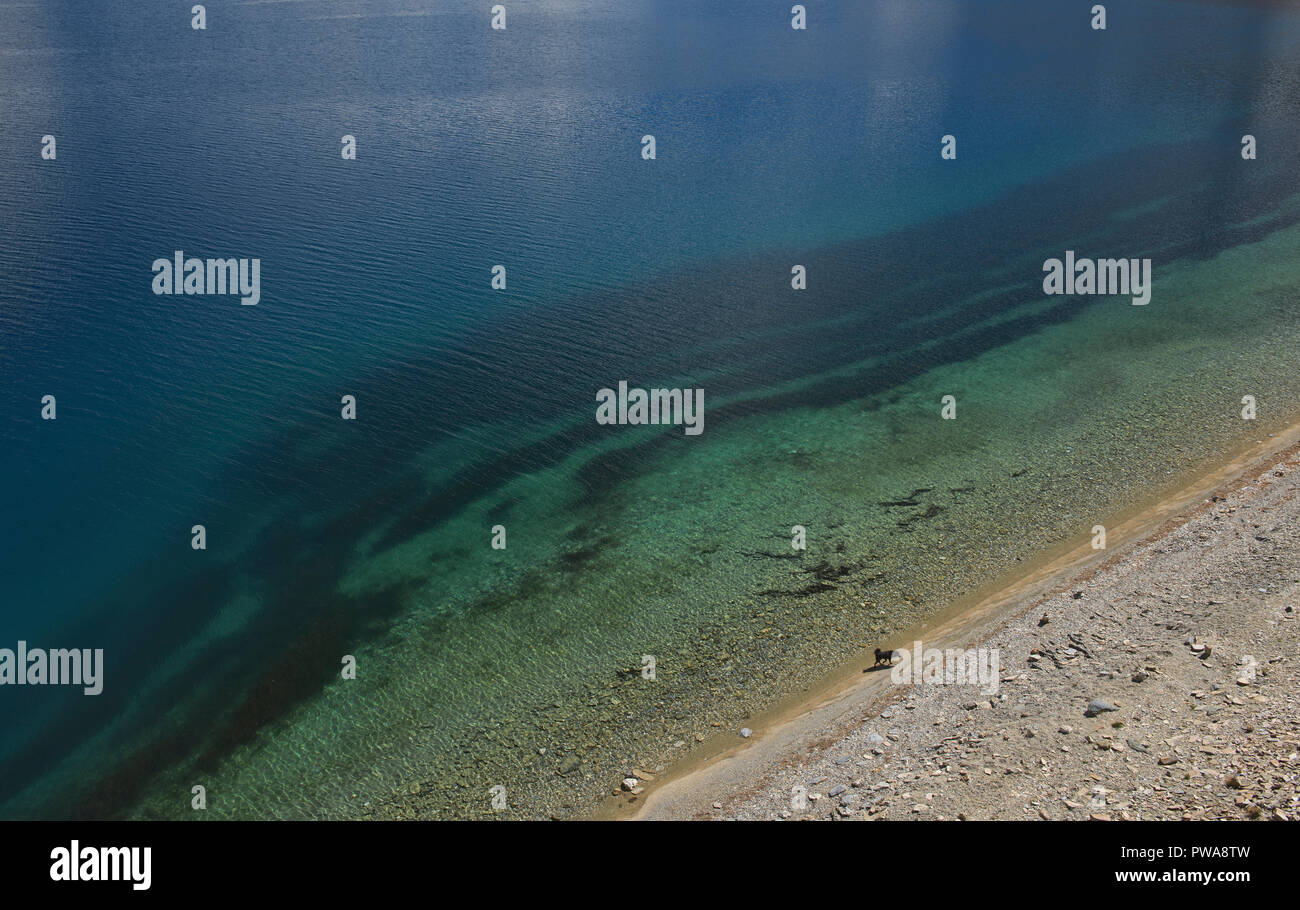 Dog along the shore of Tso Moriri Lake, Ladakh, India Stock Photo - Alamy